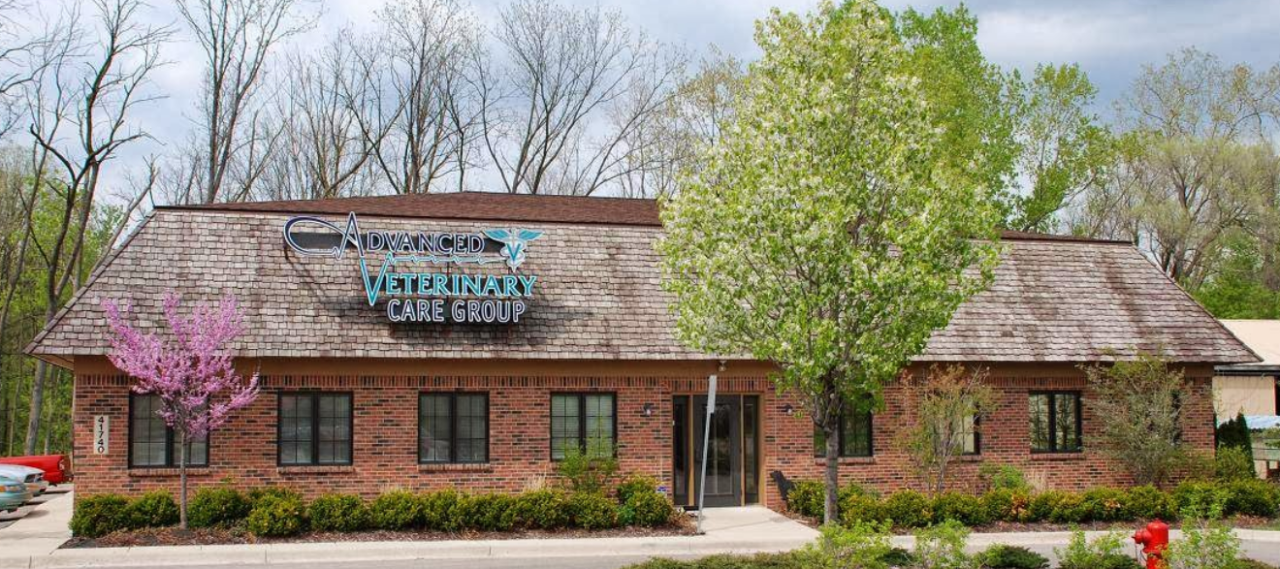 Best Vet Hospital In Canton, MI | Advanced Vet Care Group